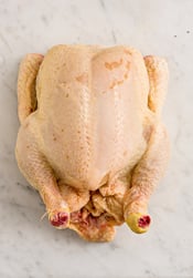 Pollo, gallina e galletto | Sale&Pepe