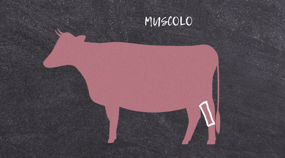 I tagli del manzo: il muscolo - Sale&Pepe