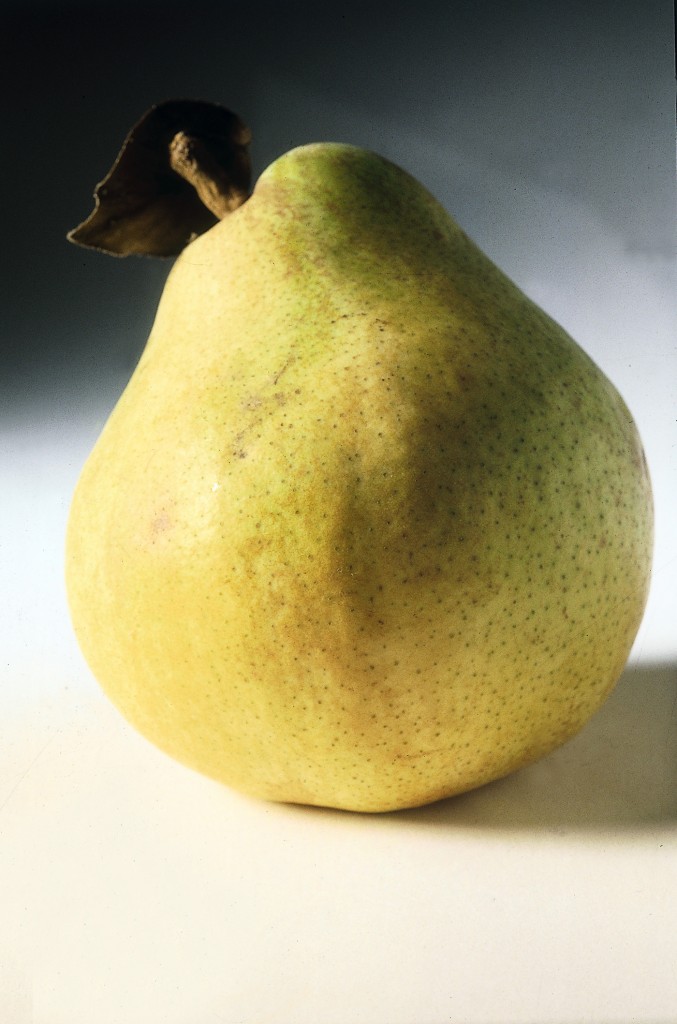 Pera decana - Sale&Pepe