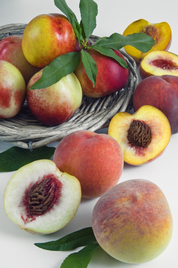 Pesca bianca - Sale&Pepe