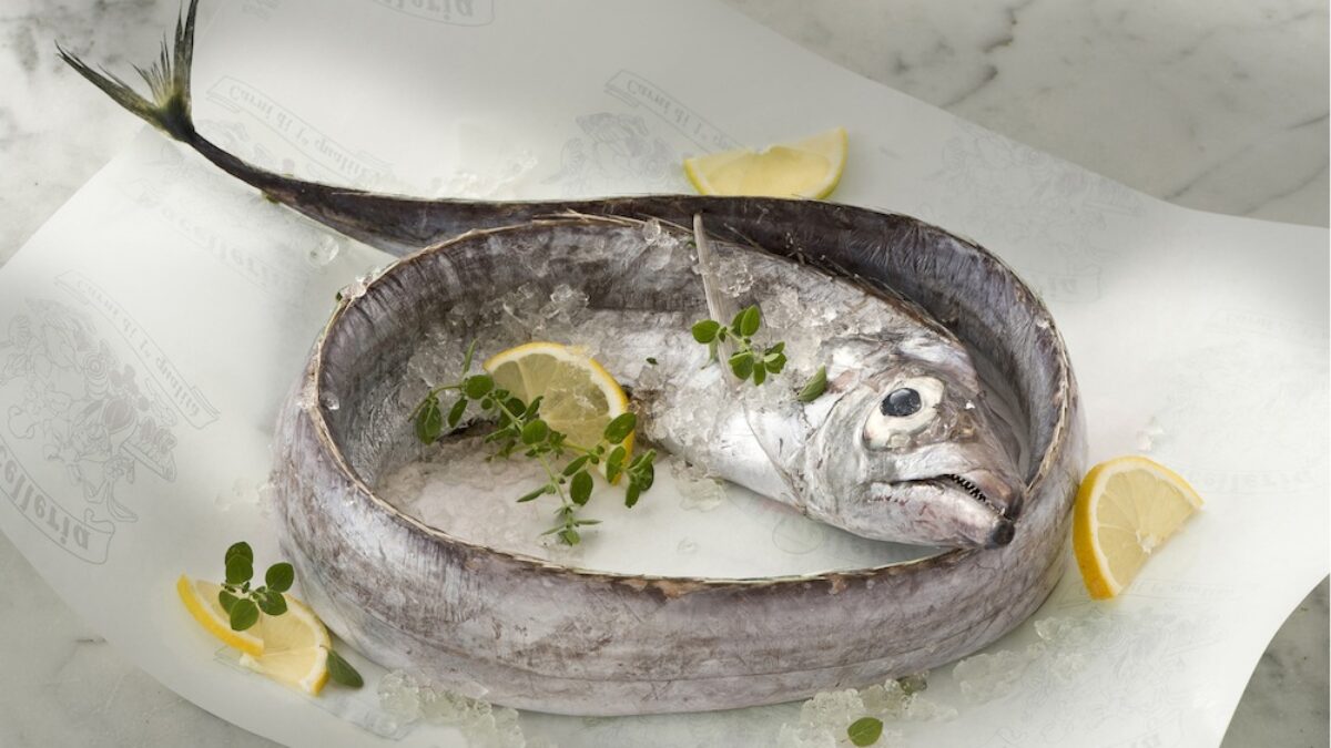 Elogio del pesce spatola - Sale&Pepe