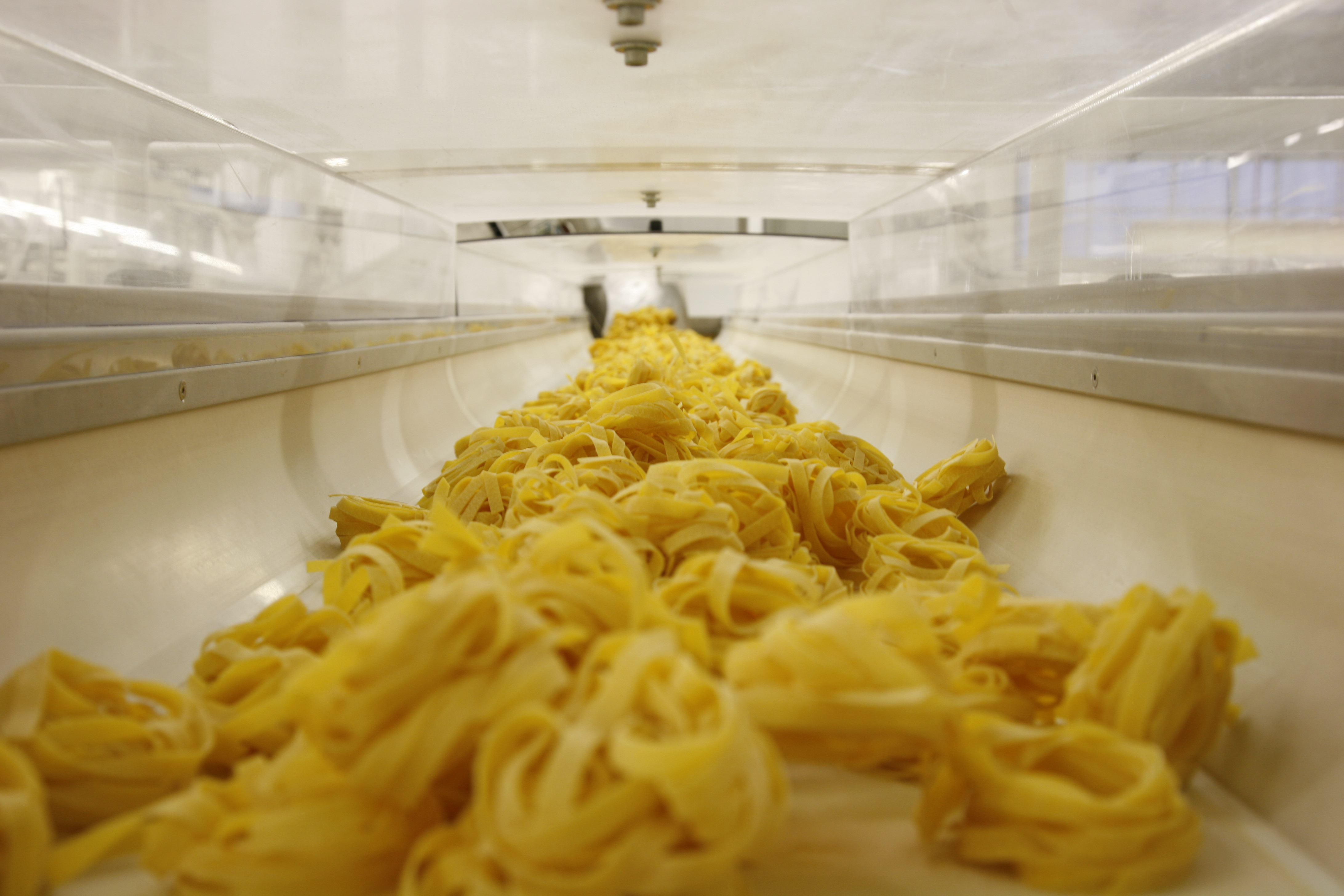 Produzione della pasta: tutto quello che c'è da sapere in 6 punti ...