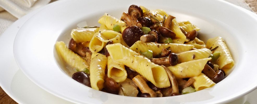 Garganelli con funghi pioppini | Sale&Pepe