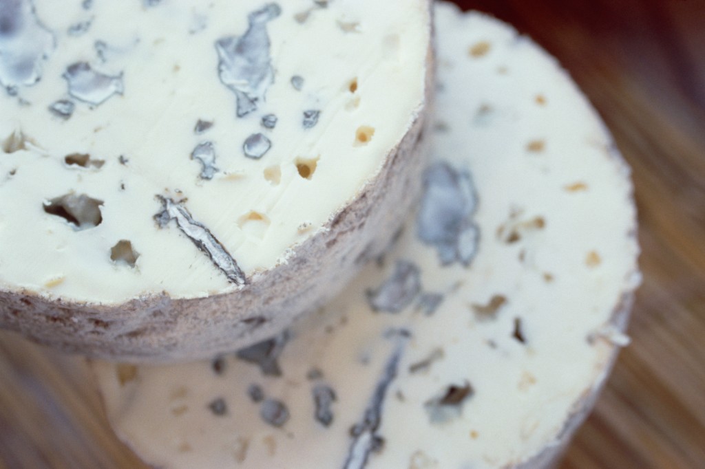 Muffa: come sapere se è buona, cattiva o cattivissima - Sale&Pepe