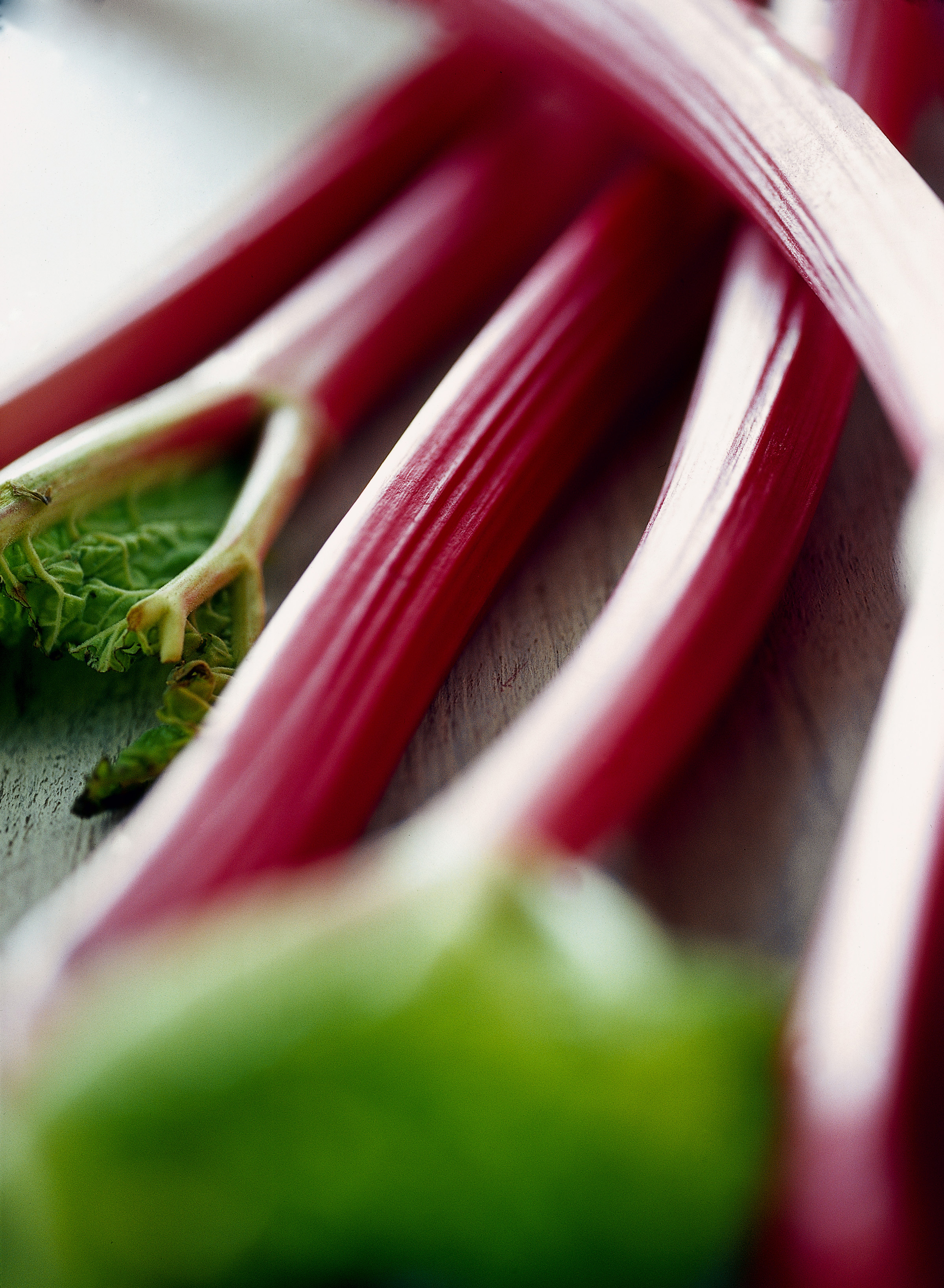 Rabarbaro: ora è il momento di gustarlo - Sale&Pepe