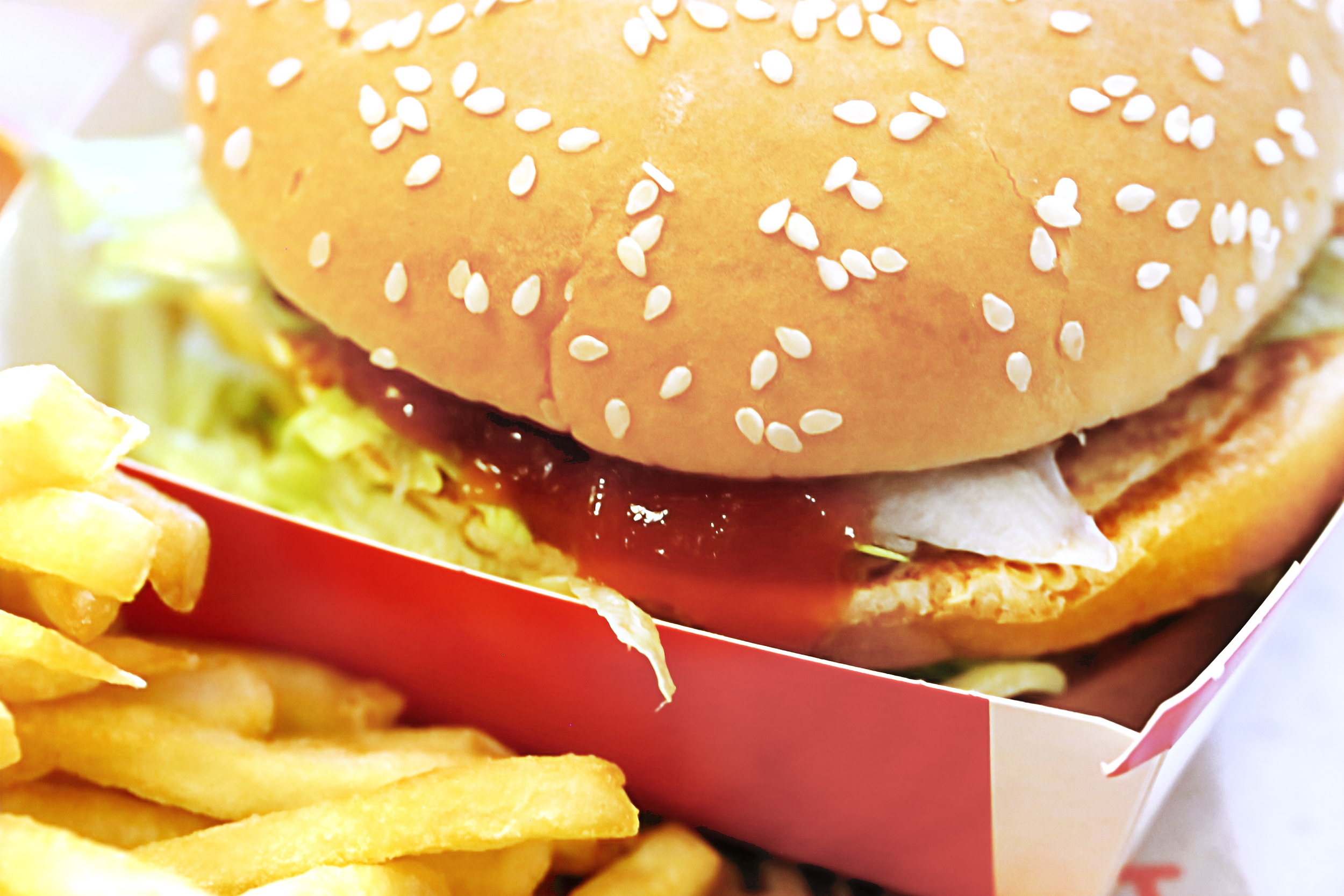 Nasce il primo fast food-museo. È vicino a Roma - Sale&Pepe