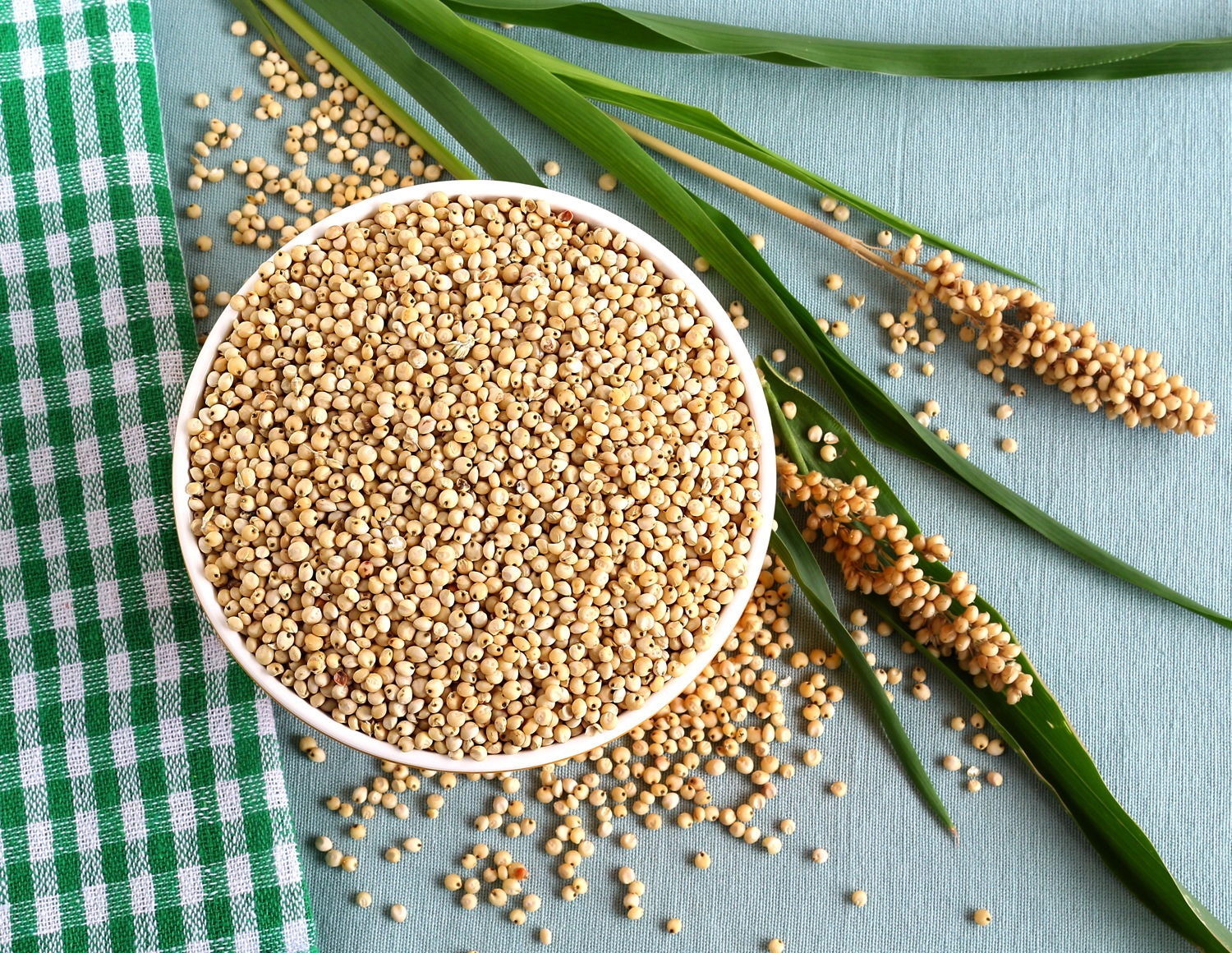 Sorgo a chi tocca! La riscossa del cereale new age