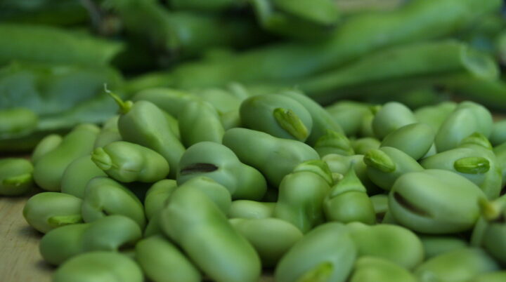 Tutto sulle fave: perché fanno bene e a chi fanno male