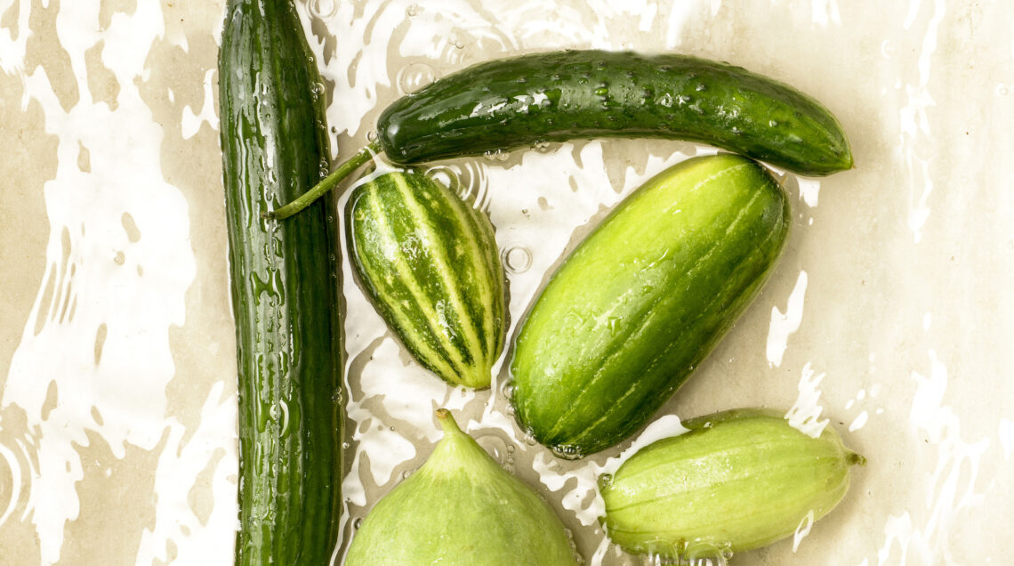 Il cetriolo: come sceglierlo, pulirlo e cucinarlo - Sale&Pepe