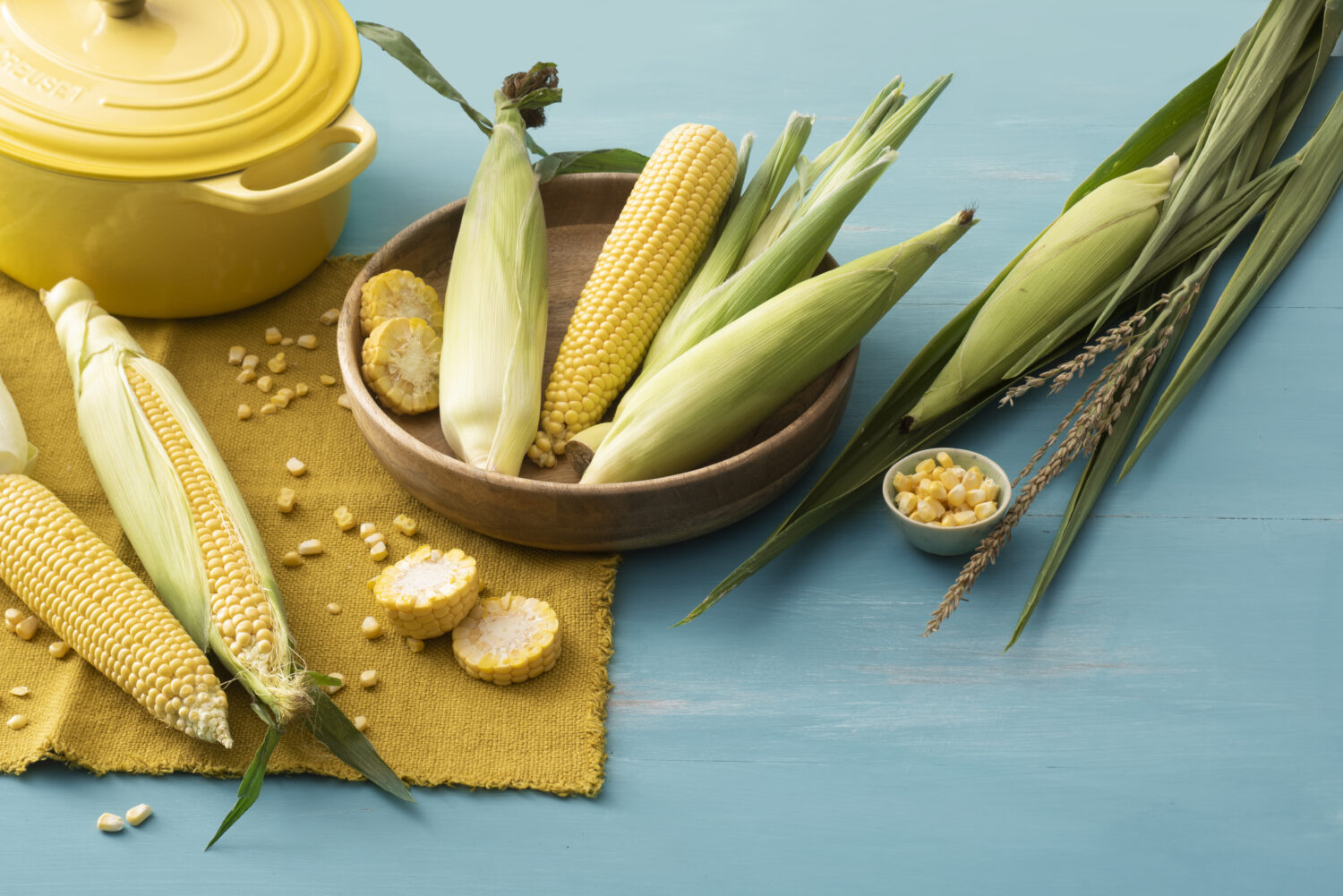 Nuovi Ogm? Slow Food non ci sta Nuovi Ogm? Slow Food non ci sta