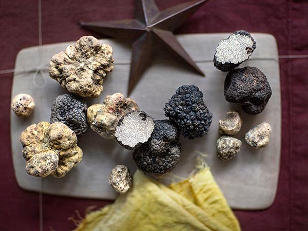 GORDON RAMSAY RECIPES | The Italian truffle is a World Heritage Site ...