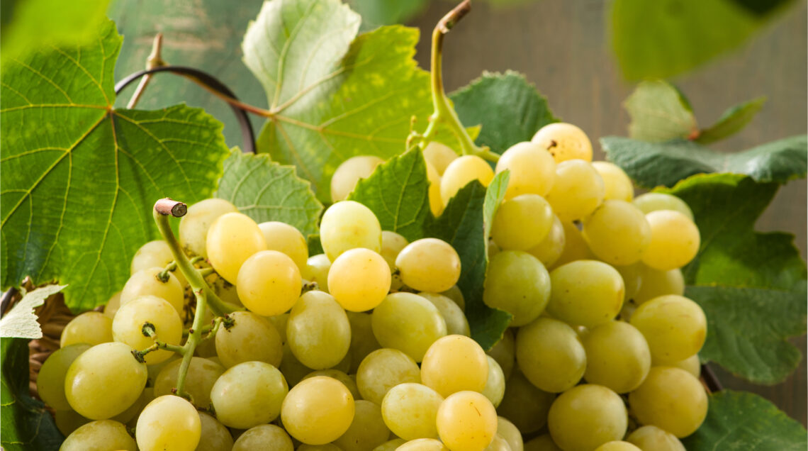 L'uva di Mazzarone, autentica bontà siciliana - Sale&Pepe