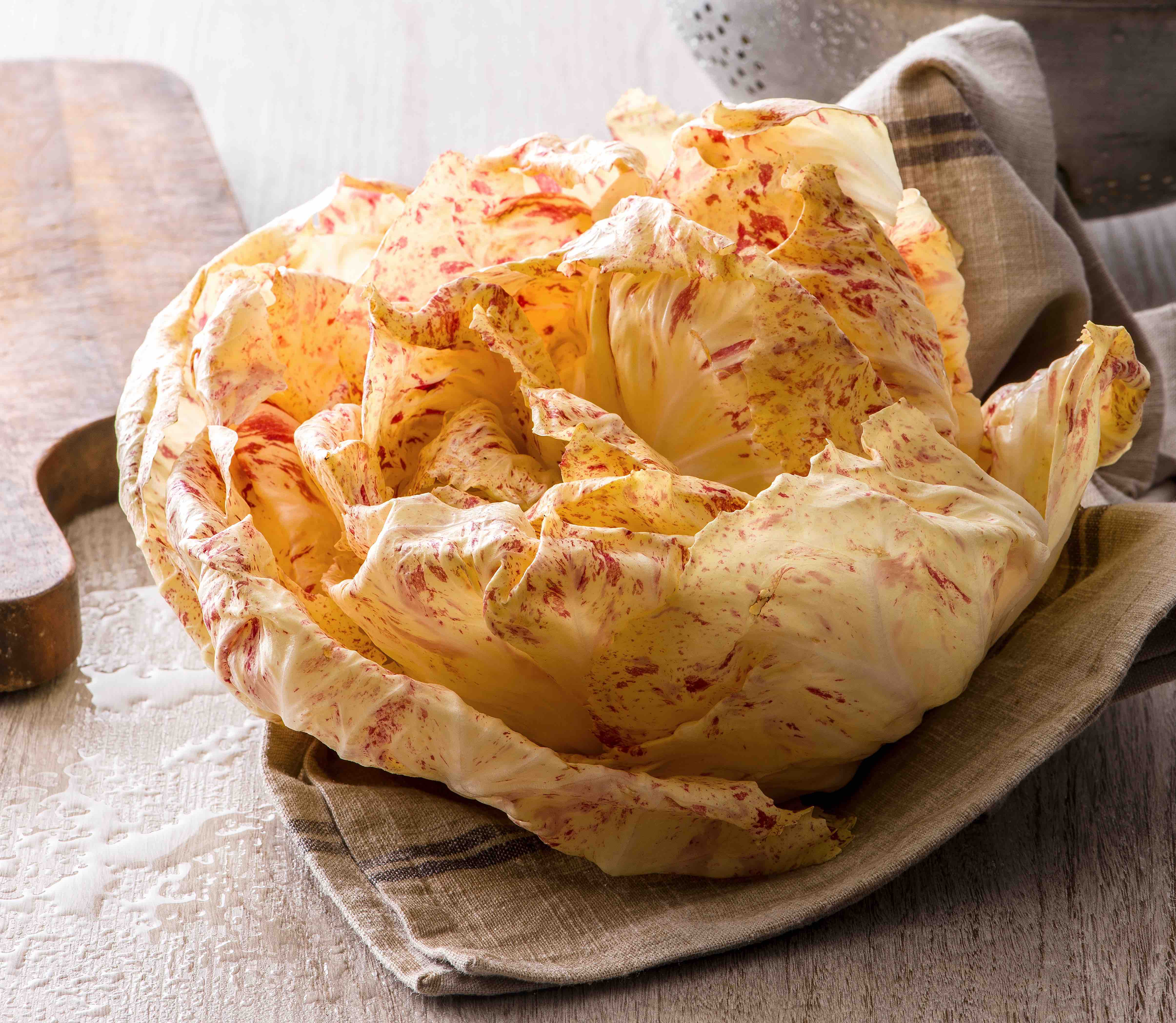 Radicchio Variegato di Castelfranco IGP: la fragile bellezza della ...