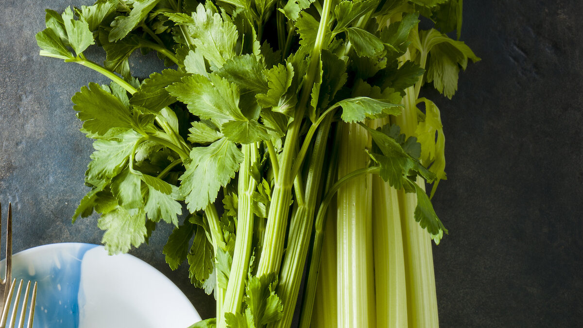 Sedano: come scegliere e usare al meglio questo ortaggio aromatico ...
