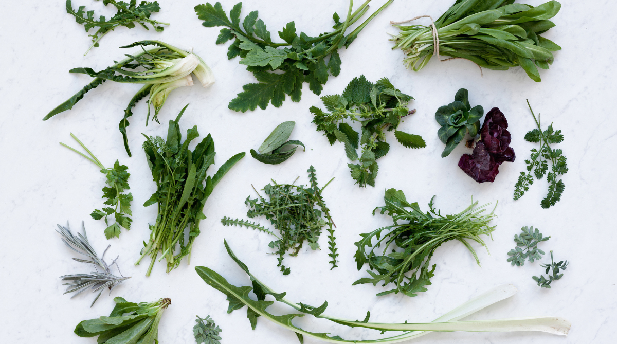 Erbe amare - Sale&Pepe