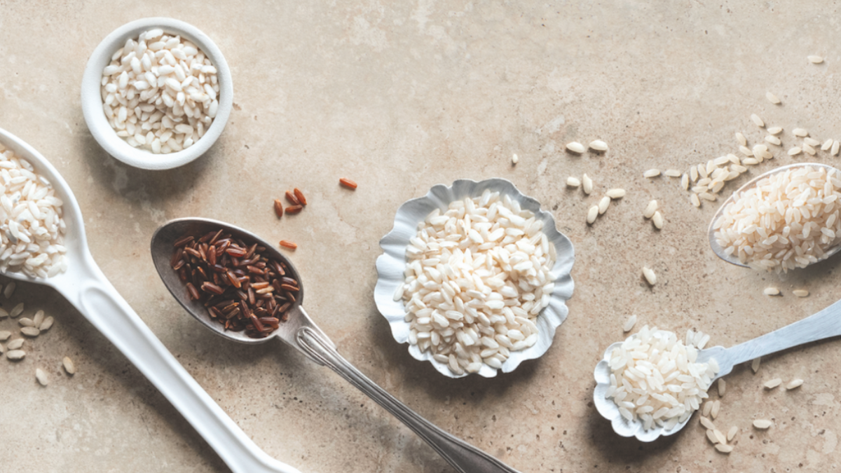 Riso italiano: tante varietà da scoprire - Sale&Pepe