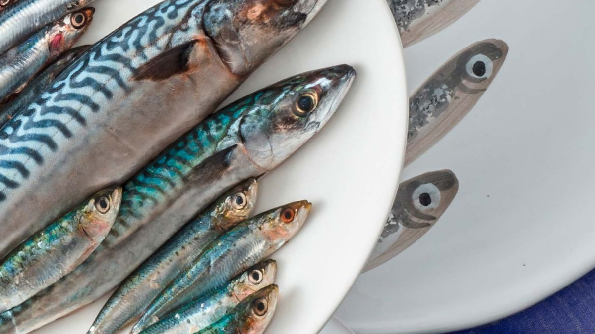 Pesce azzurro: conoscerlo e gustarlo al meglio - Sale&Pepe