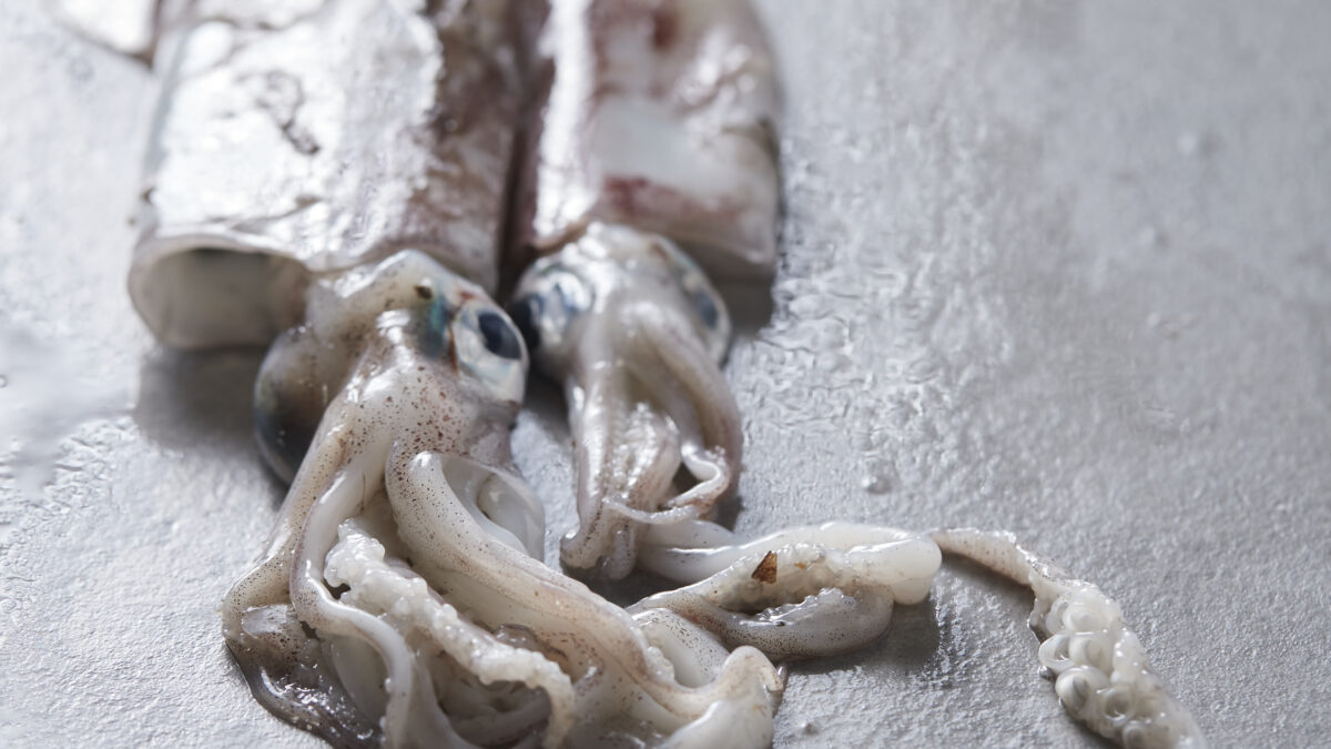Calamari: 20 ricette per gustarli al meglio - Sale&Pepe